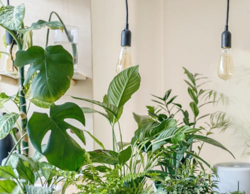 Home - FSG - Facility Services Group